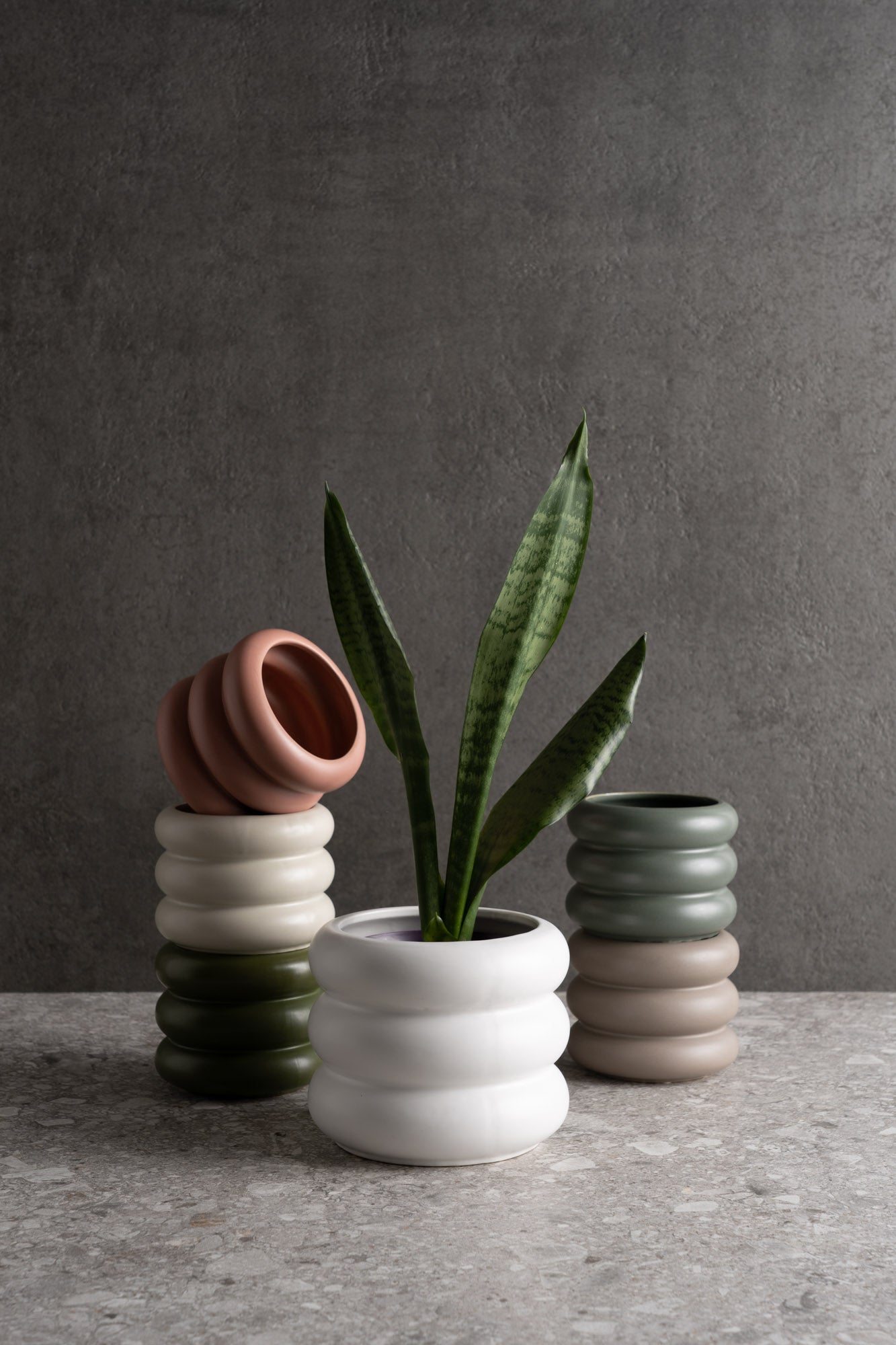 Circular Ceramic Pot - Polar White - M – Shoppe Refined